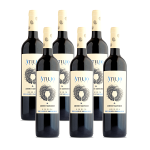 Atilio Avena – Bodega Atilio Avena es un típico emprendimiento familiar ...